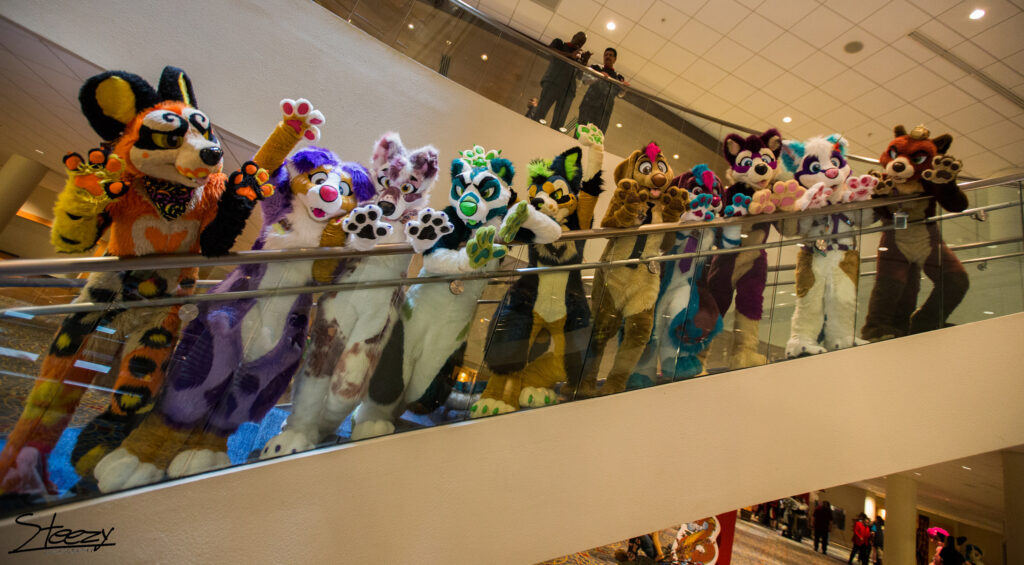 Gallery - The Phoenix Nest