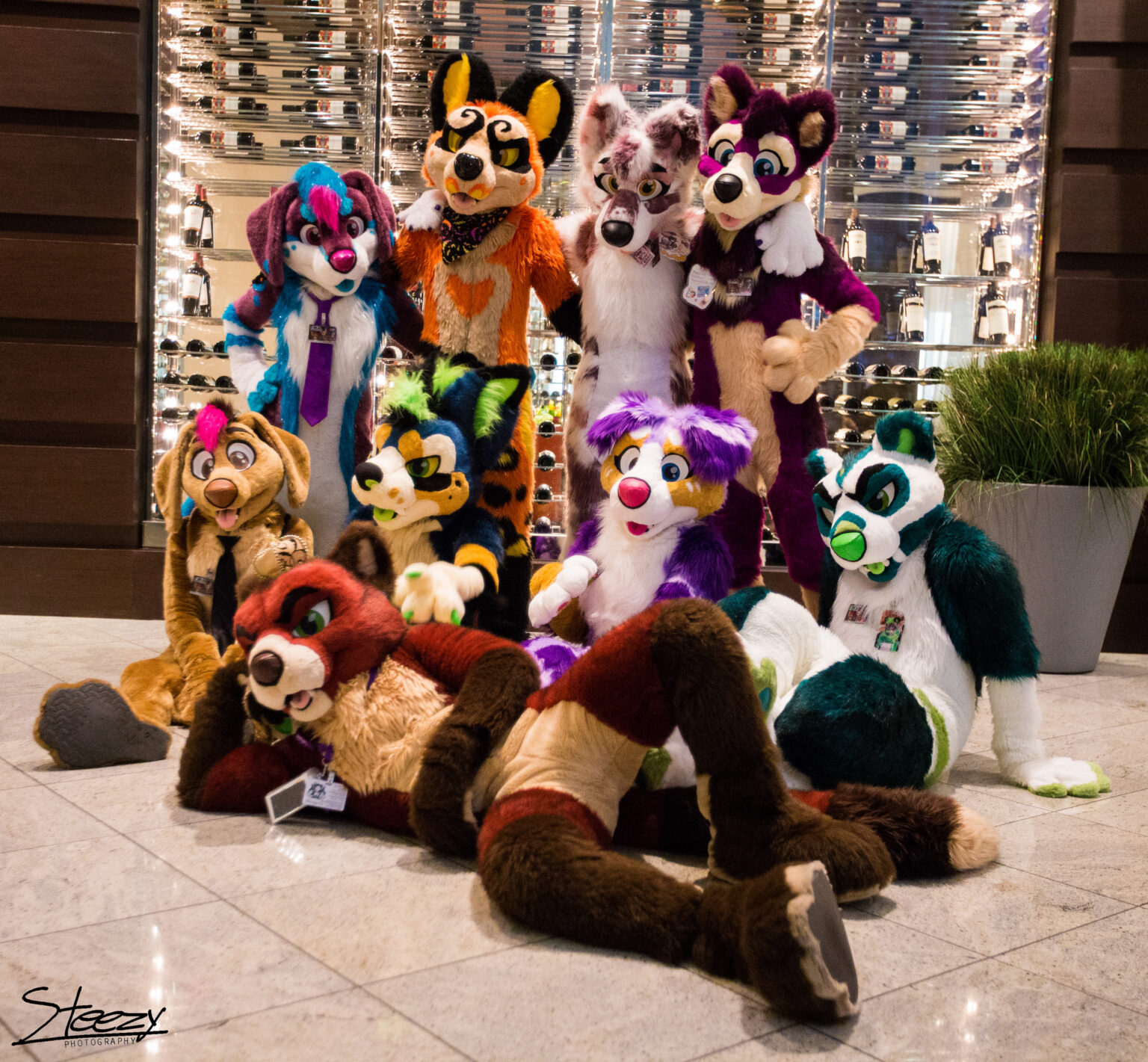 Gallery - The Phoenix Nest