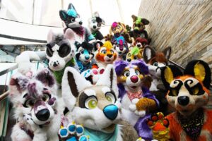 Gallery - The Phoenix Nest