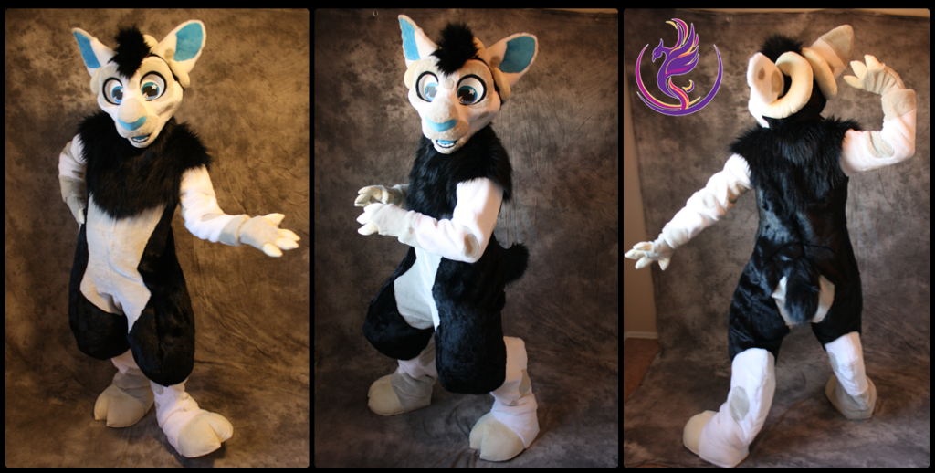 Gallery - The Phoenix Nest