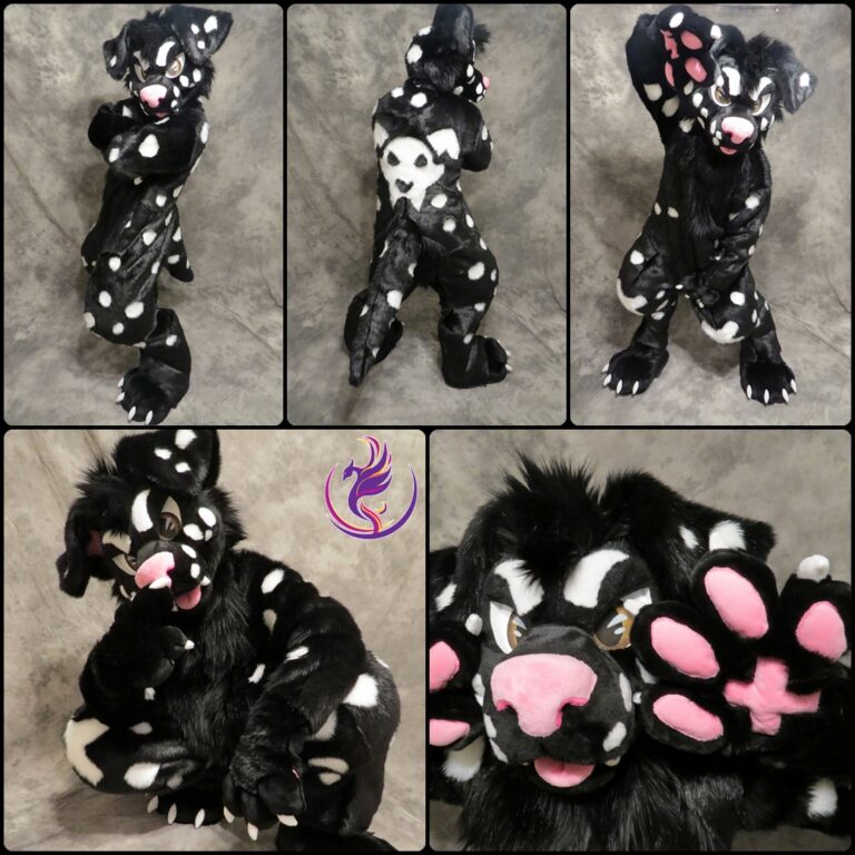 Gallery - The Phoenix Nest