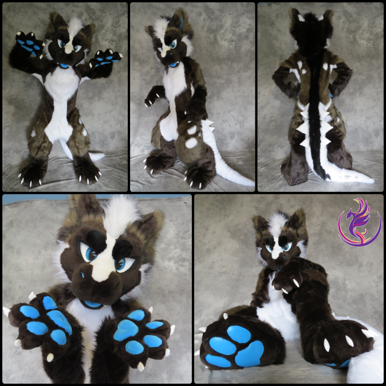 Gallery - The Phoenix Nest