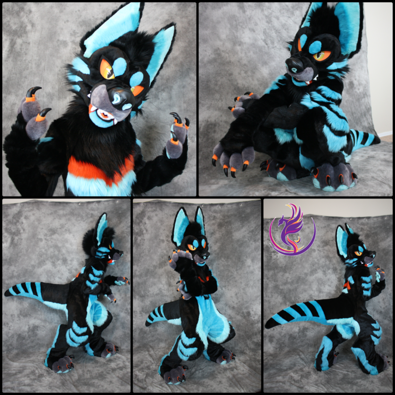 Gallery - The Phoenix Nest