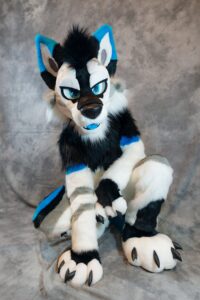 Gallery - The Phoenix Nest