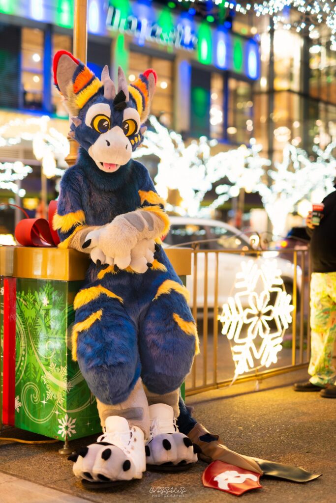 Gallery - The Phoenix Nest